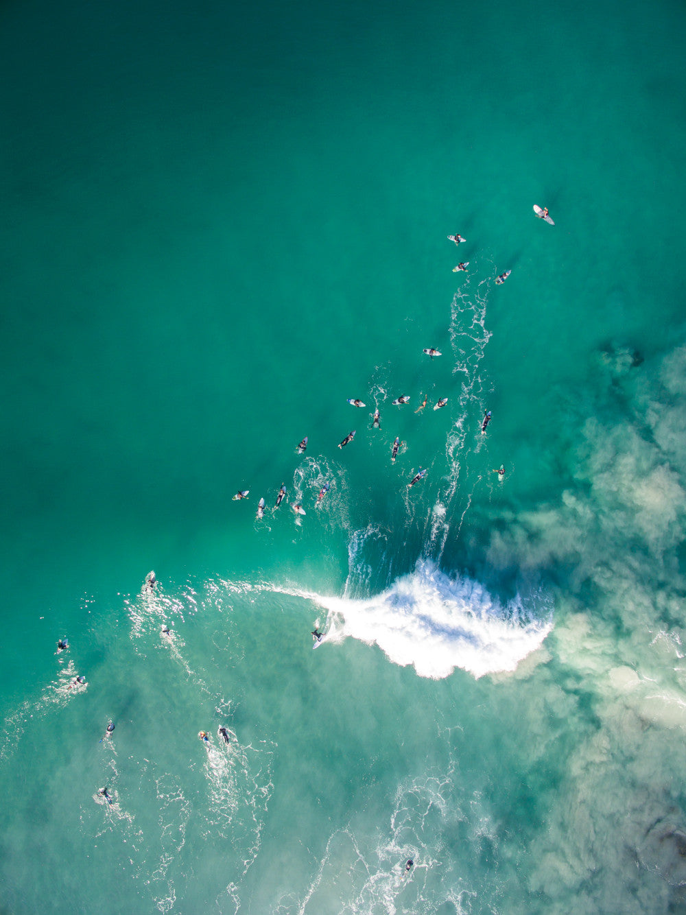 SW0004 - Trigg Point – Salty Wings