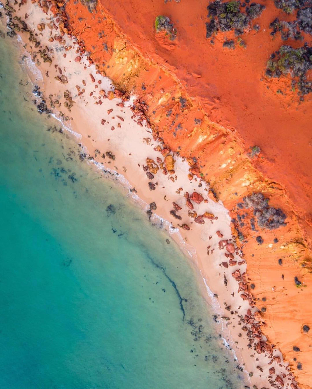 SW0221 - Shark Bay – Salty Wings