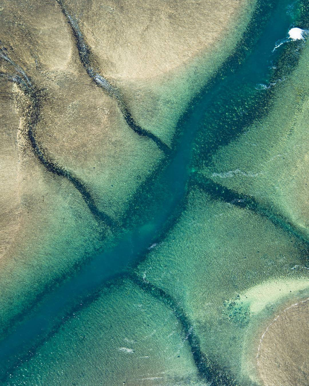 SW0262 - Montgomery Reef – Salty Wings