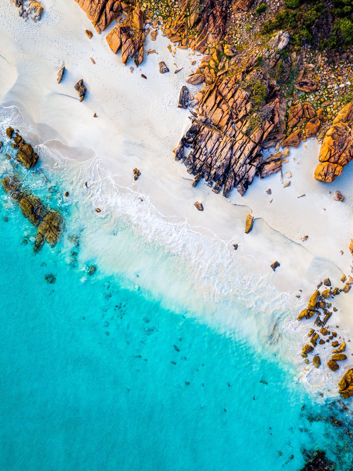 SW0356 - Eagle Bay – Salty Wings