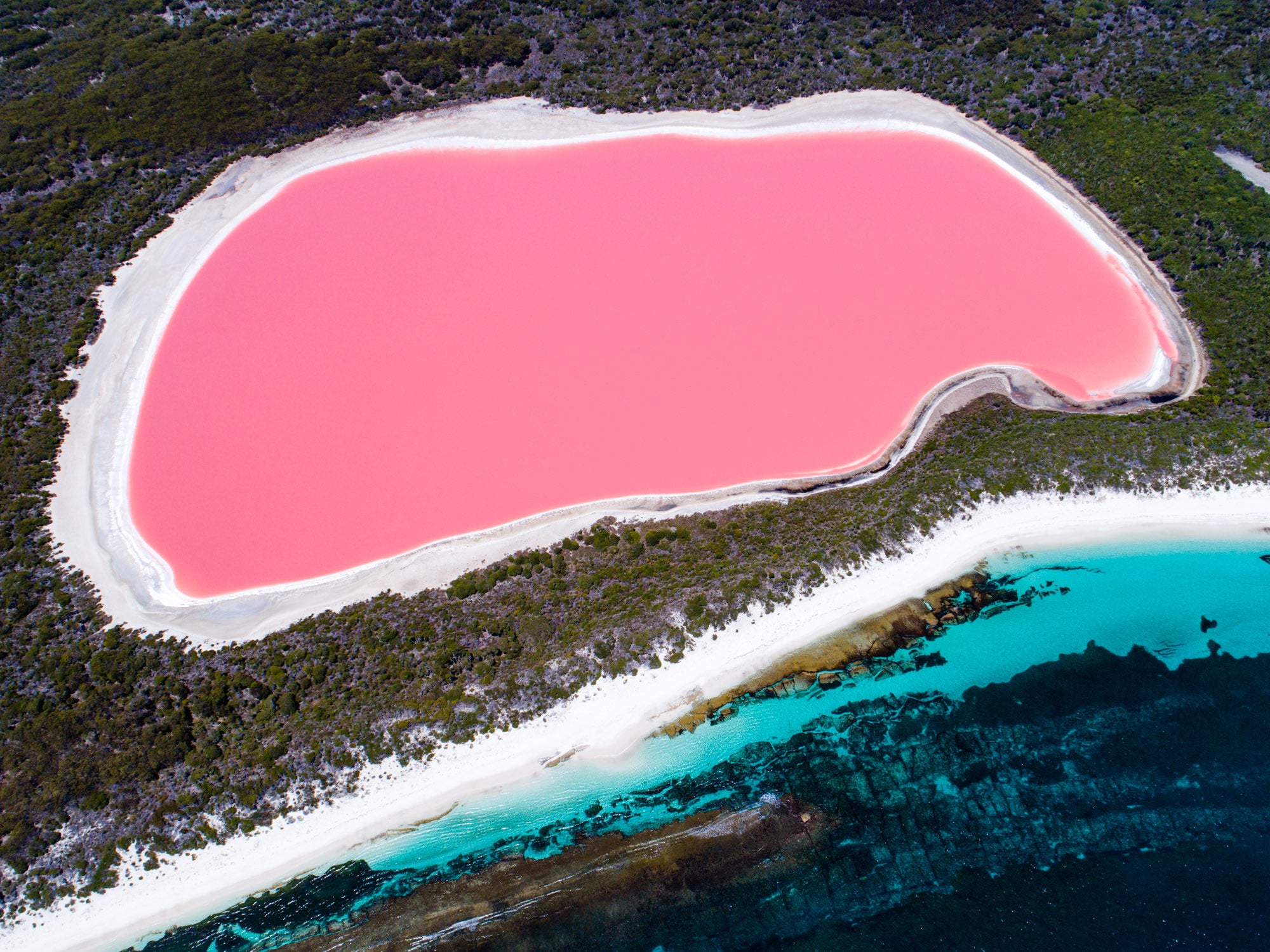SW0384 - Lake Hillier – Salty Wings