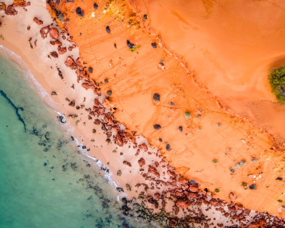 SW0467 - Shark Bay – Salty Wings