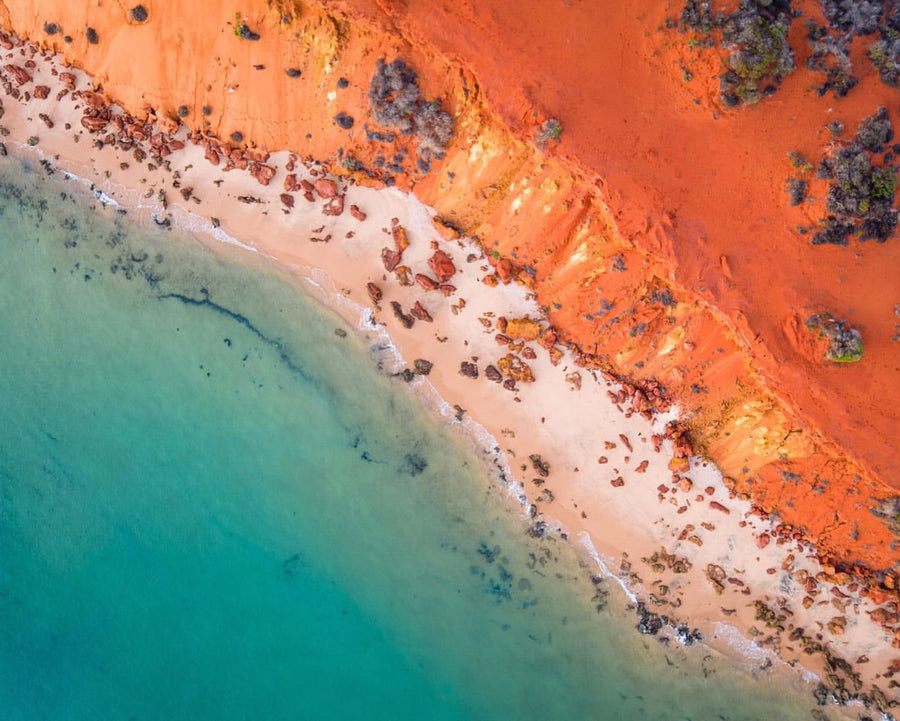 SW0673 - Shark Bay – Salty Wings