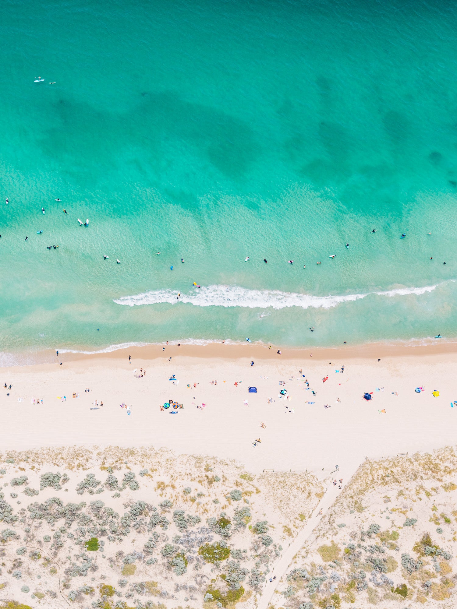 SW0743 - Trigg Beach – Salty Wings