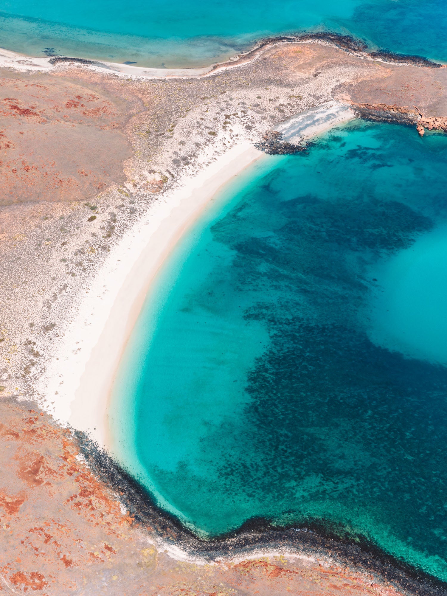 SW0769 - Marney Bay – Salty Wings