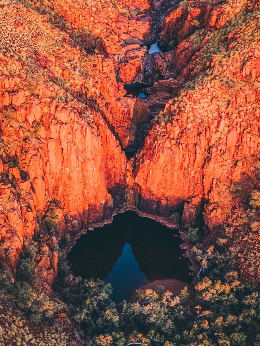 SW0773 - Python Pool Wall Art Decor | Shop Art Photo Prints – Salty Wings