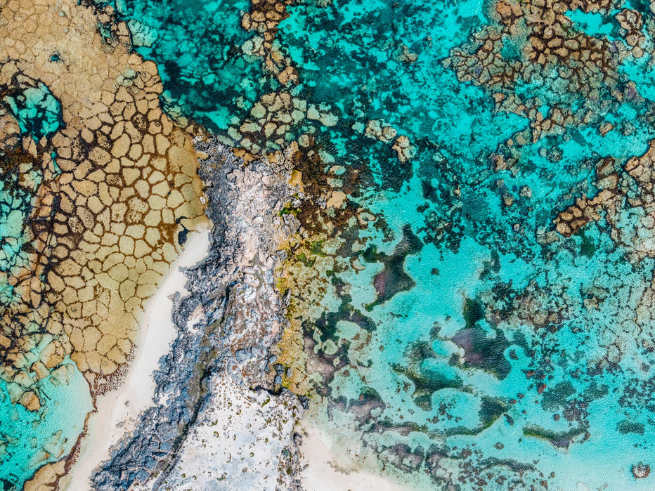 SW0819 - Salmon Bay – Salty Wings