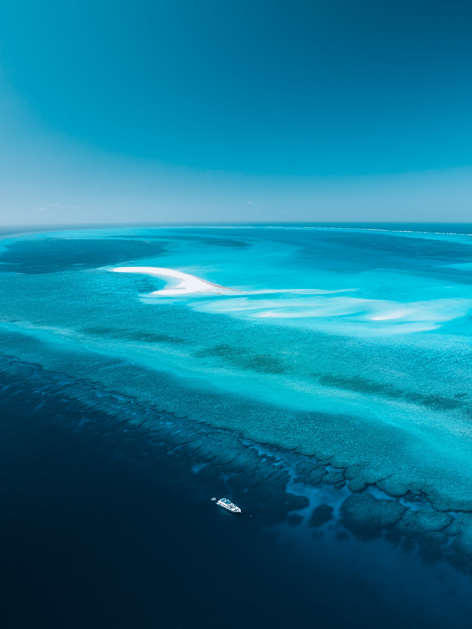 SW0891 - Rowley Shoals – Salty Wings