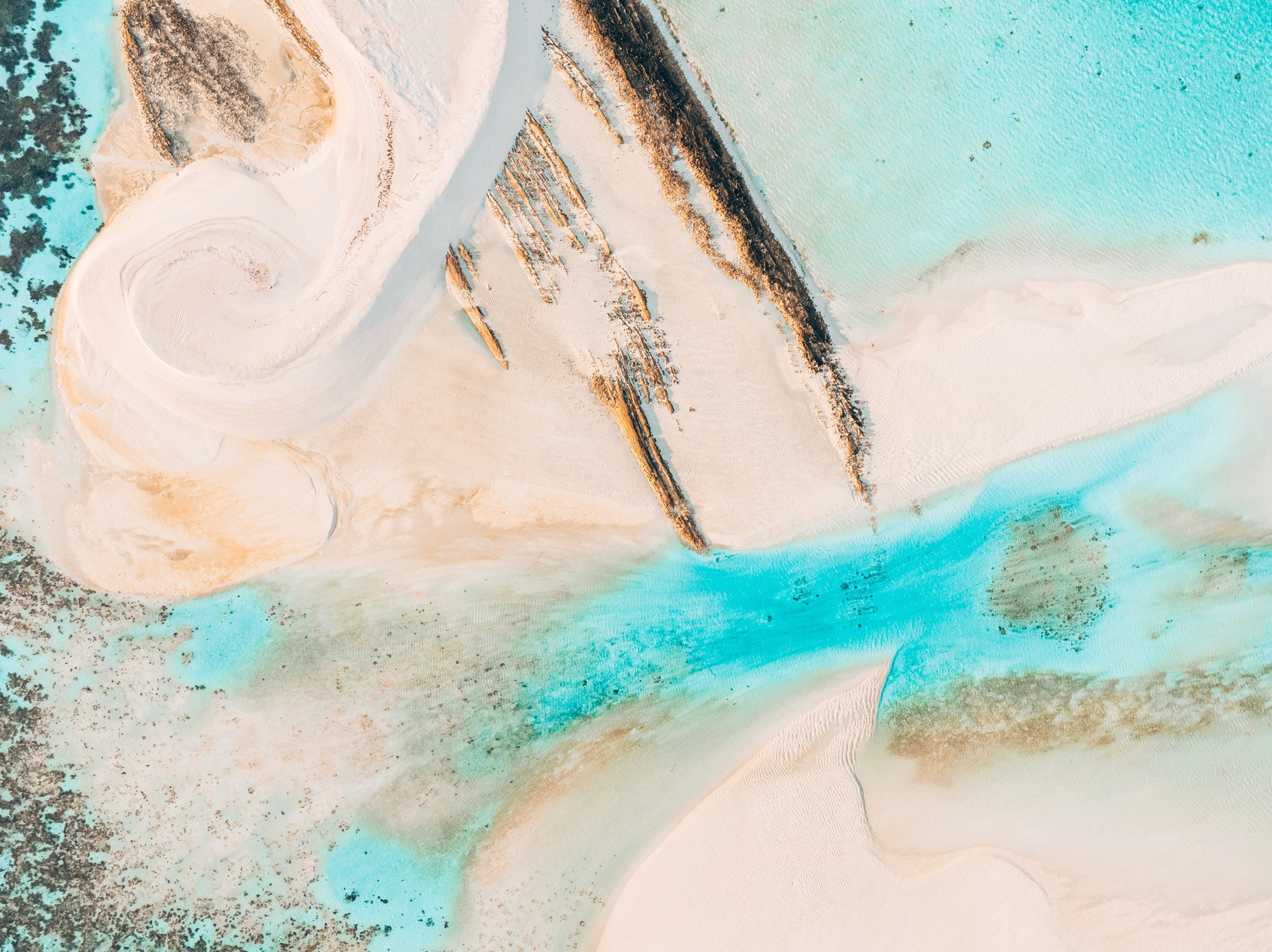 SW0896 - Rowley Shoals – Salty Wings