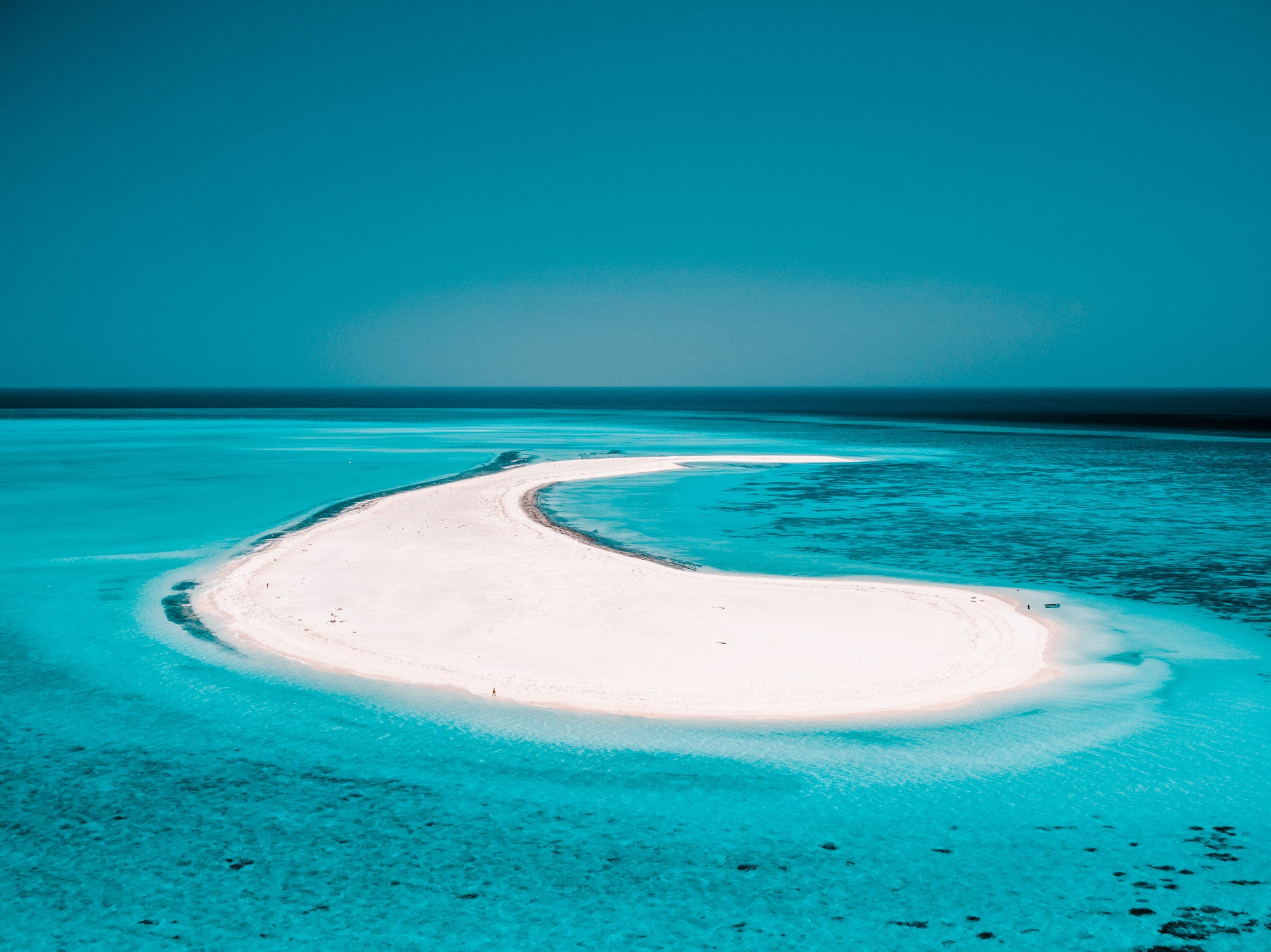 SW0899 - Rowley Shoals – Salty Wings