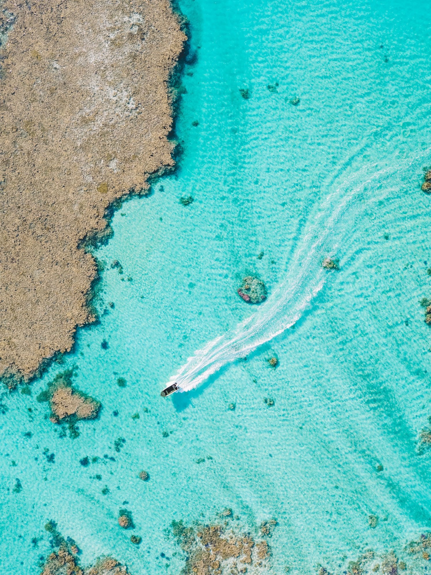 SW0903 - Rowley Shoals – Salty Wings