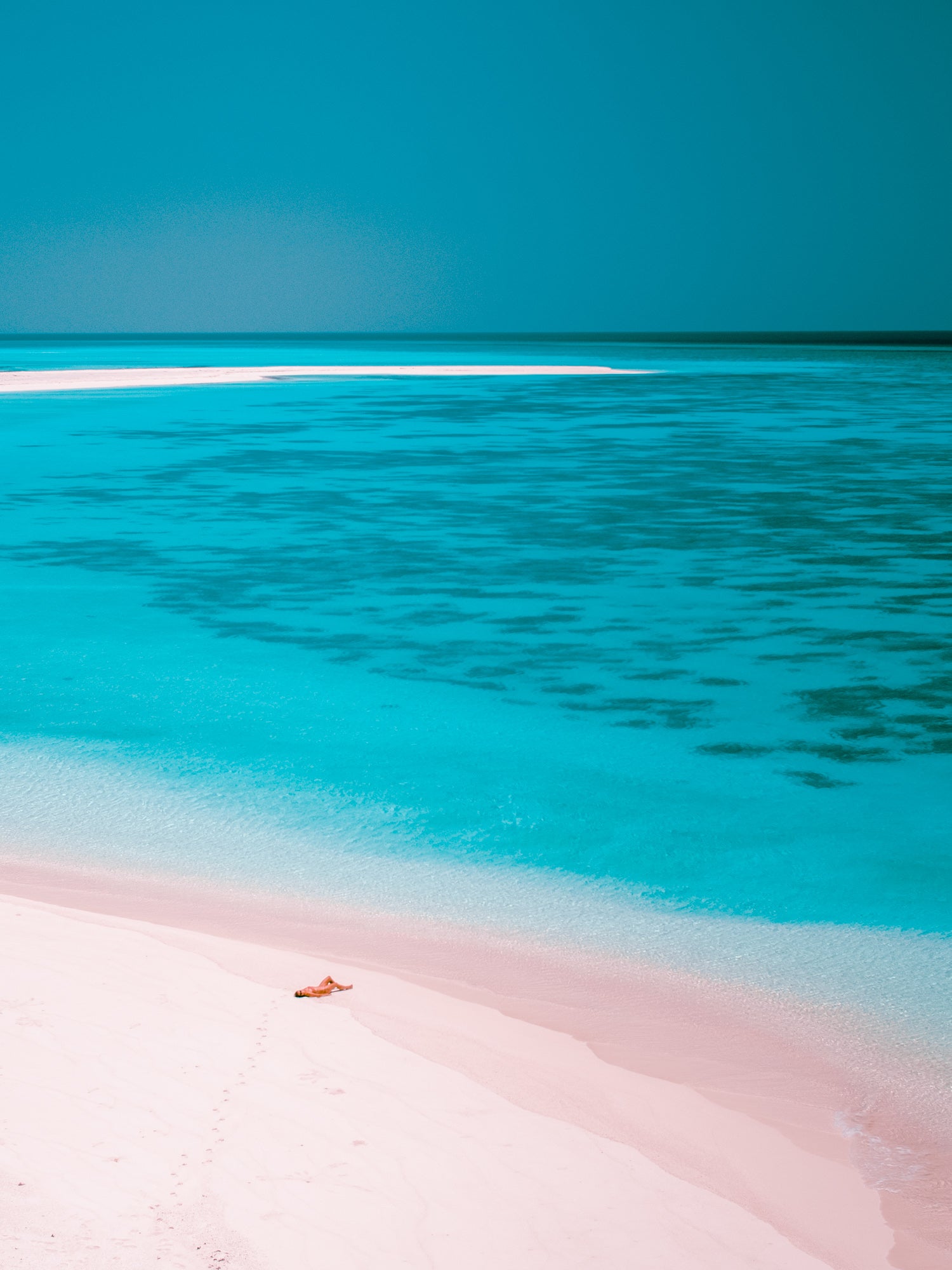 SW0900 - Rowley Shoals – Salty Wings