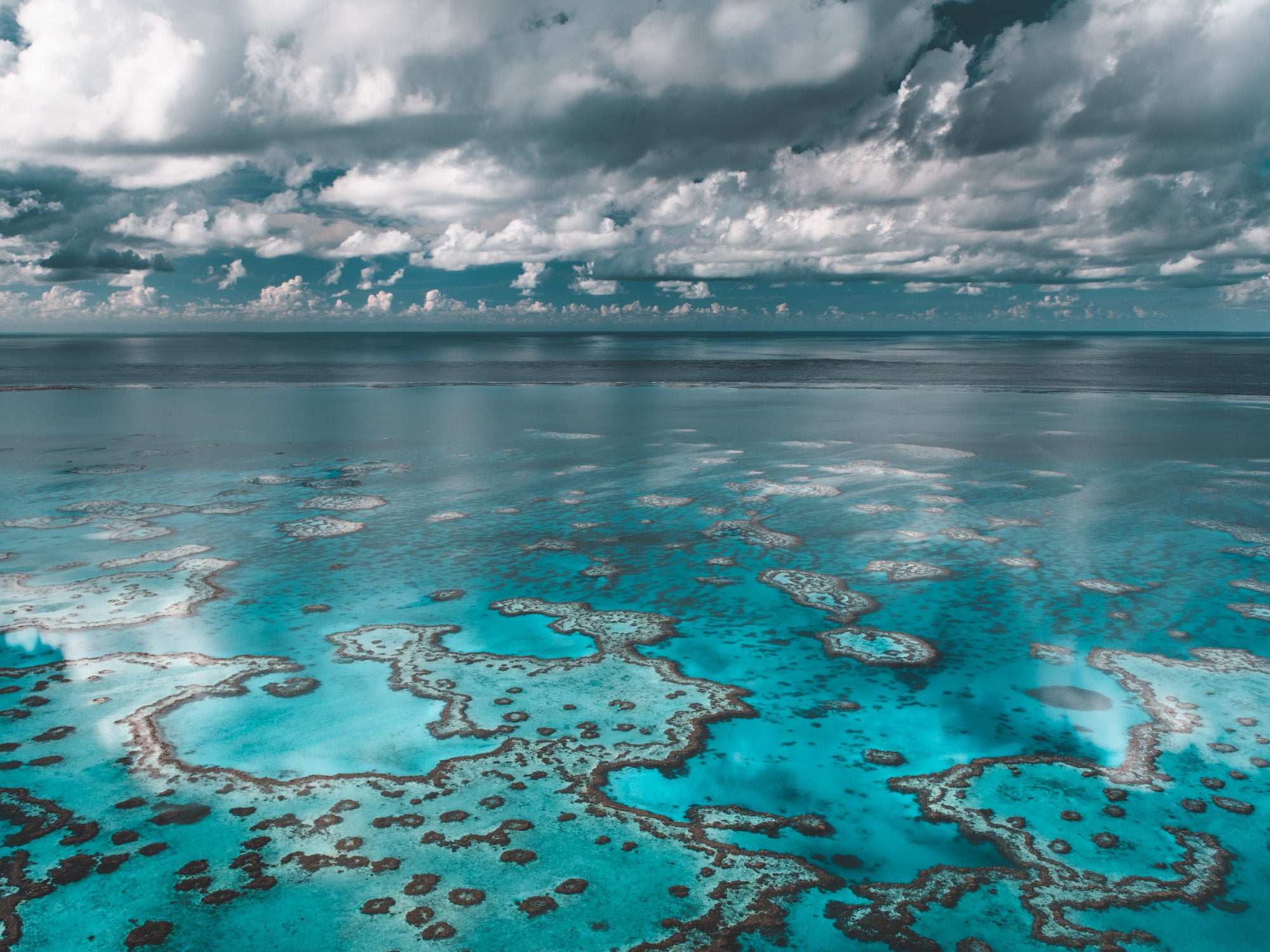 Great Barrier Reef Wall Print - Aerial Coastal Photography – Salty Wings