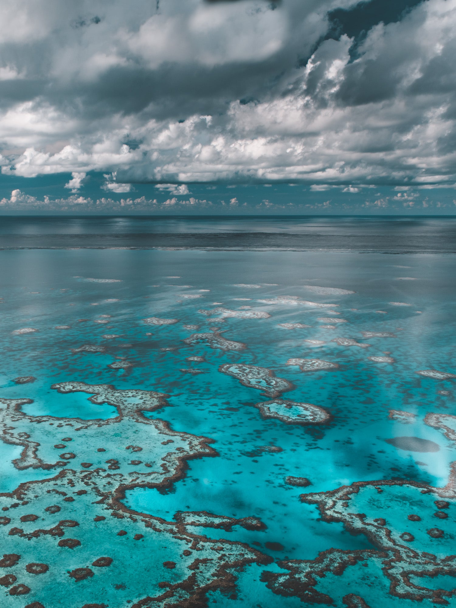 Great Barrier Reef Wall Print - Aerial Coastal Photography – Salty Wings