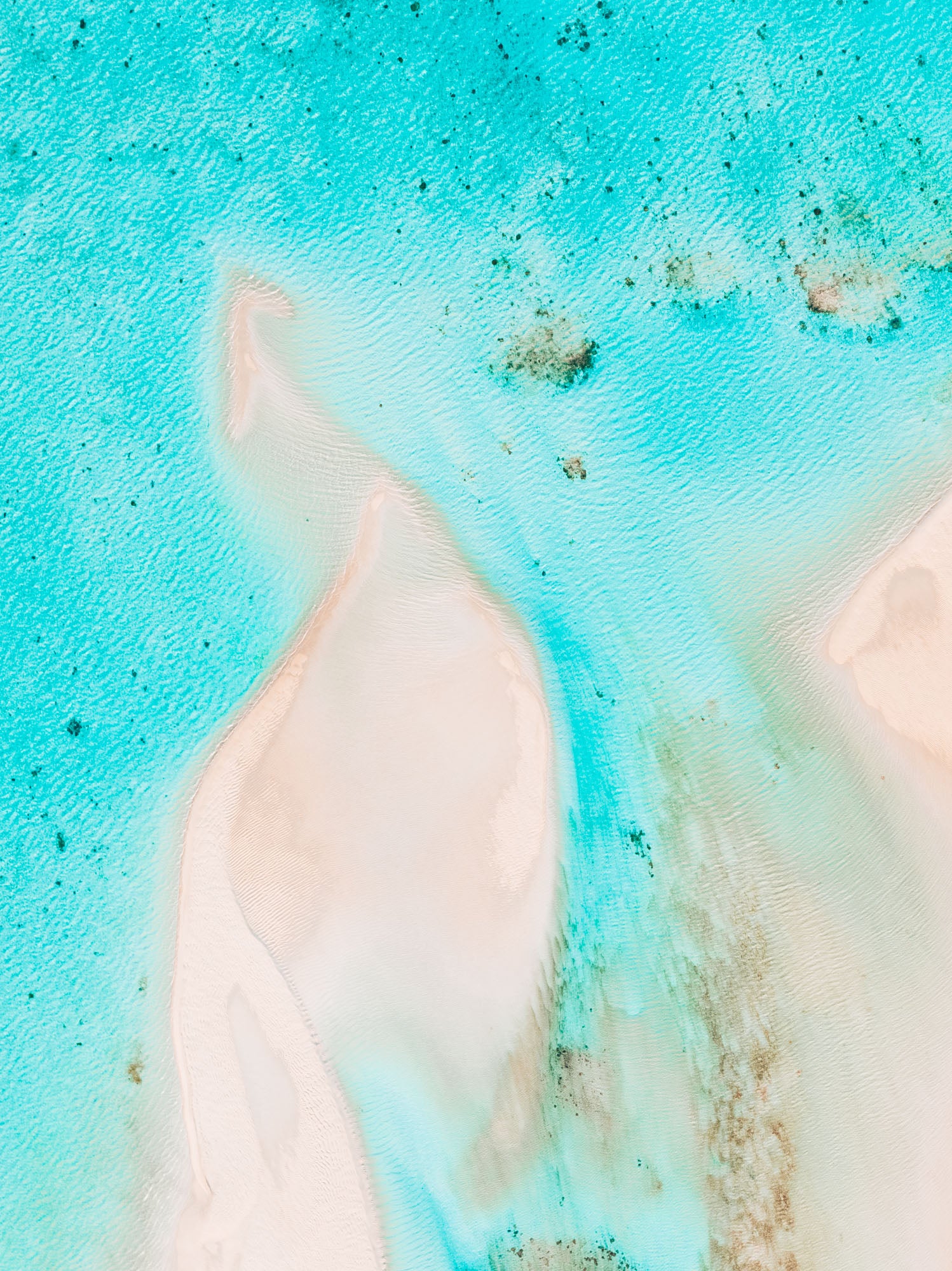 SW0975 - Rowley Shoals – Salty Wings