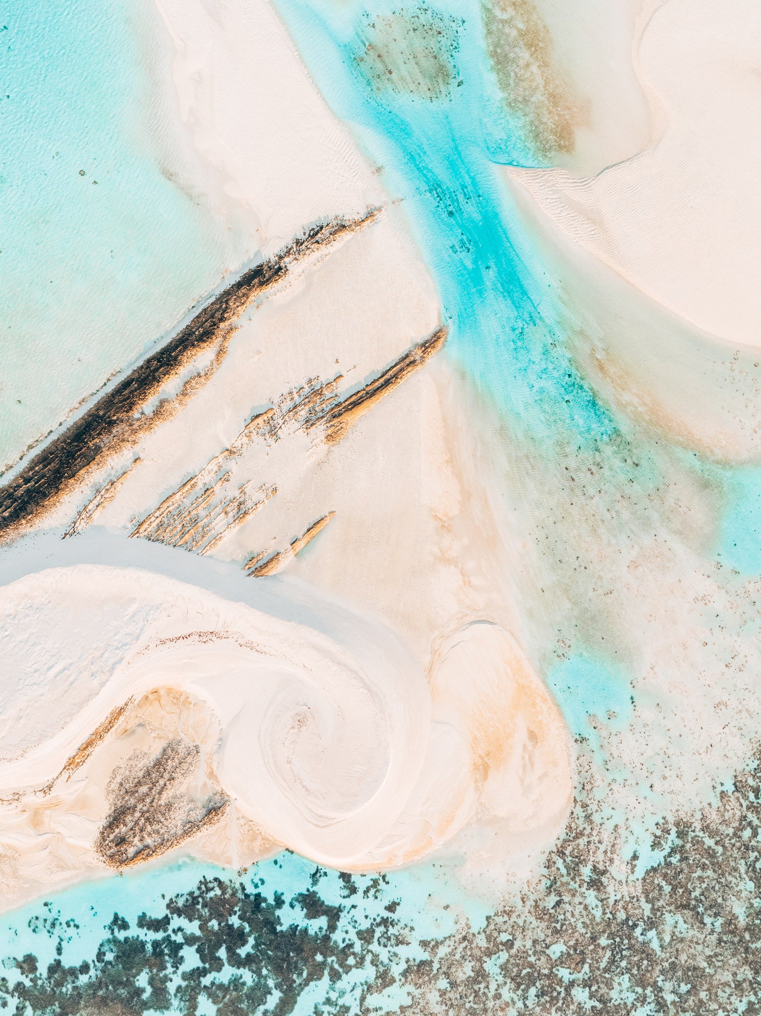 SW0976 - Rowley Shoals – Salty Wings
