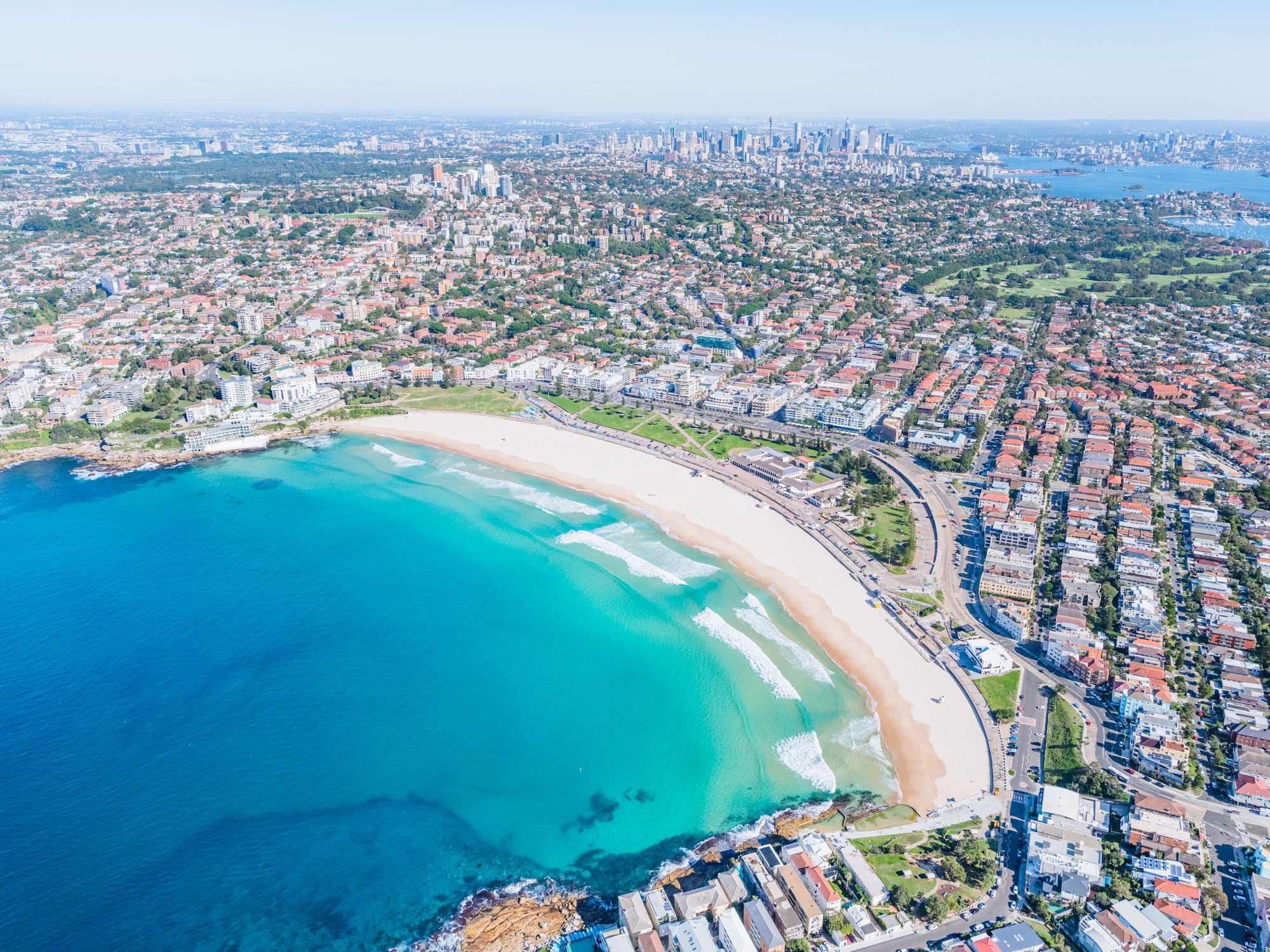 SW1217 - Bondi – Salty Wings