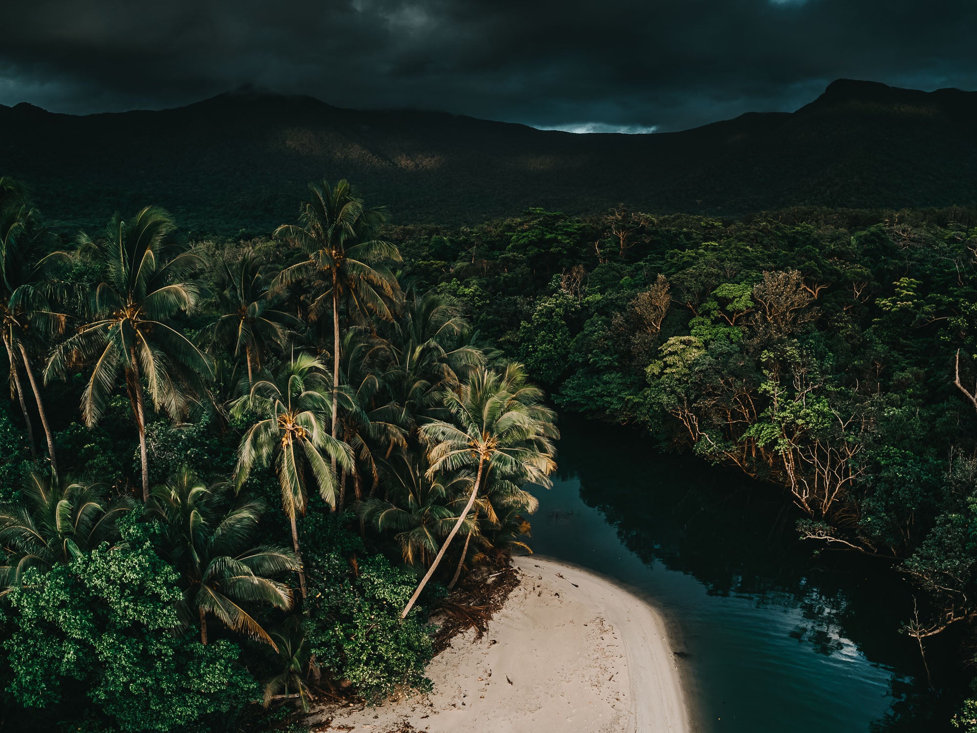 SW1821 - Daintree Wall Art | Shop Coastal Photography Prints – Salty Wings