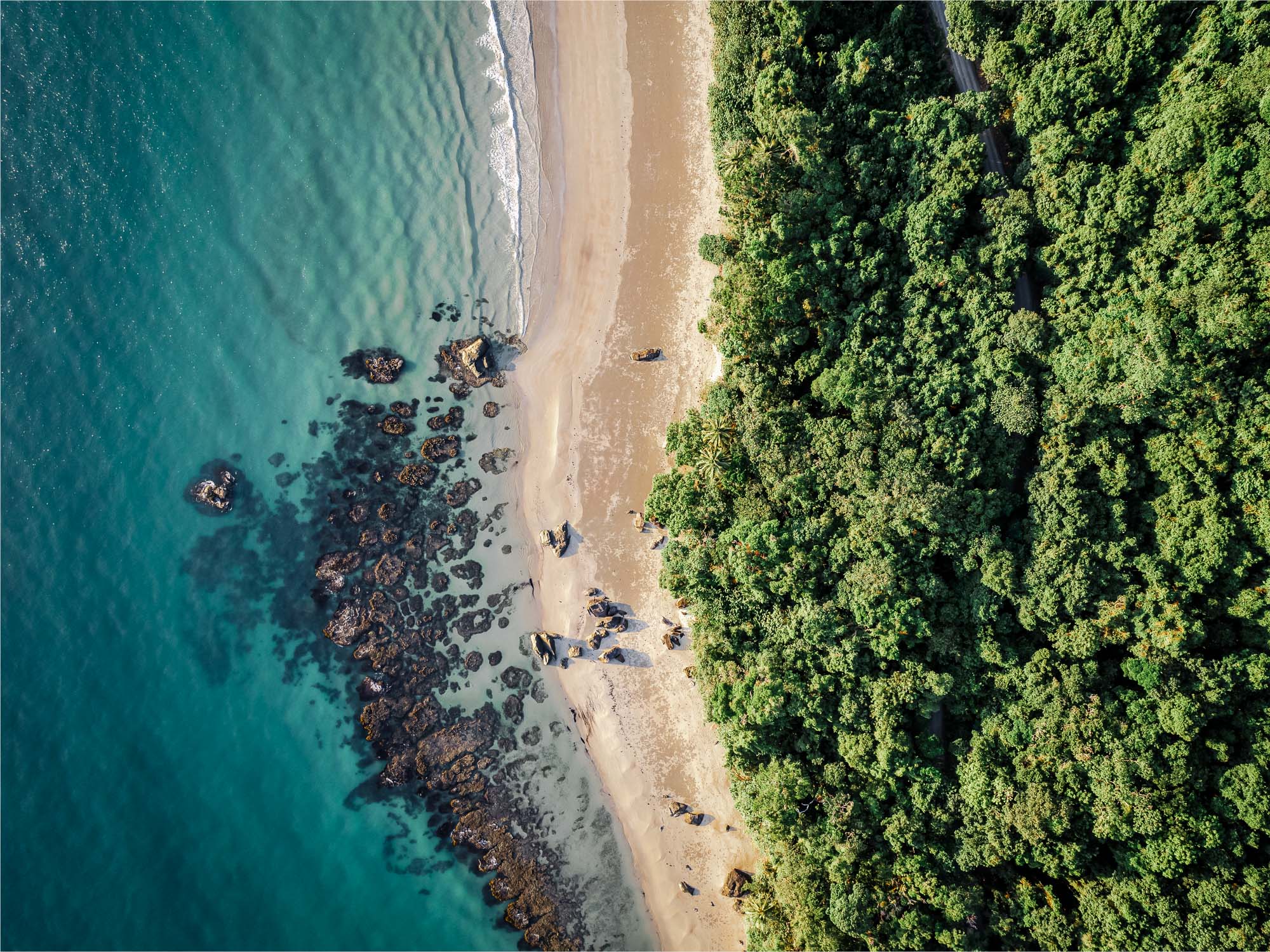 SW1832 - The Daintree Wall Art | Shop Coastal Photography Prints ...