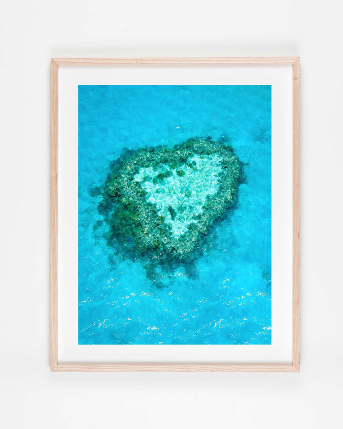 Shop Great Barrier Reef Prints – Salty Wings
