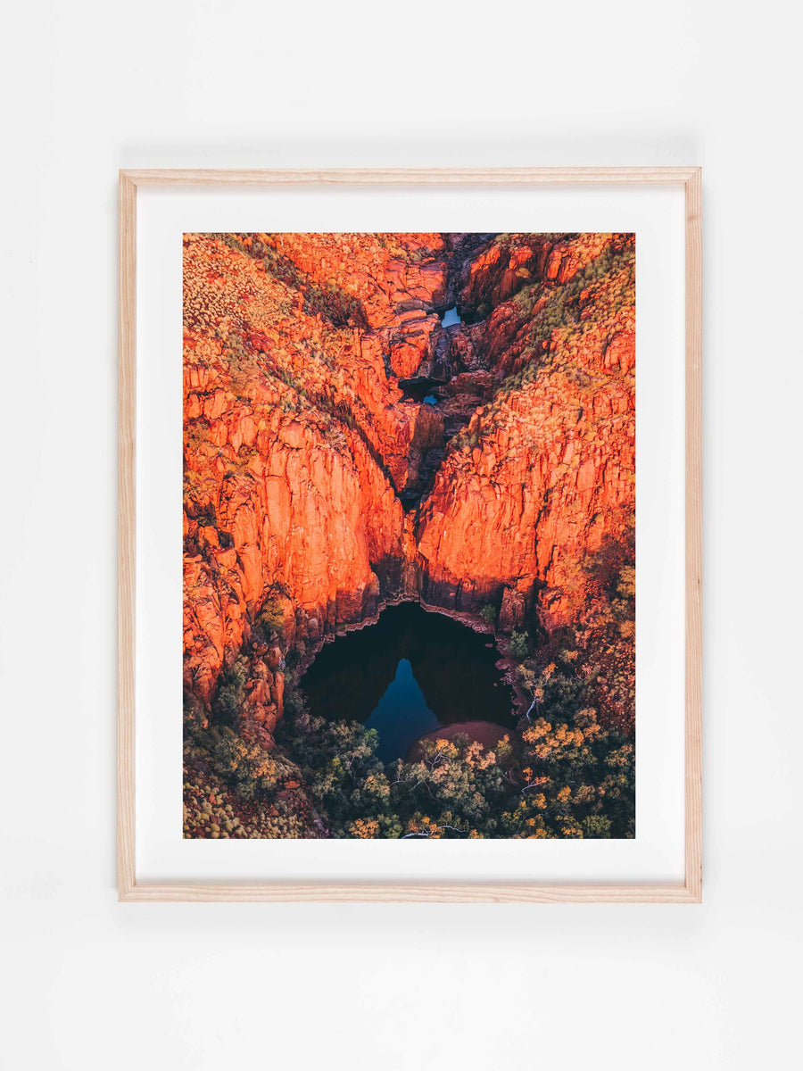 SW0773 - Python Pool Wall Art Decor | Shop Art Photo Prints – Salty Wings