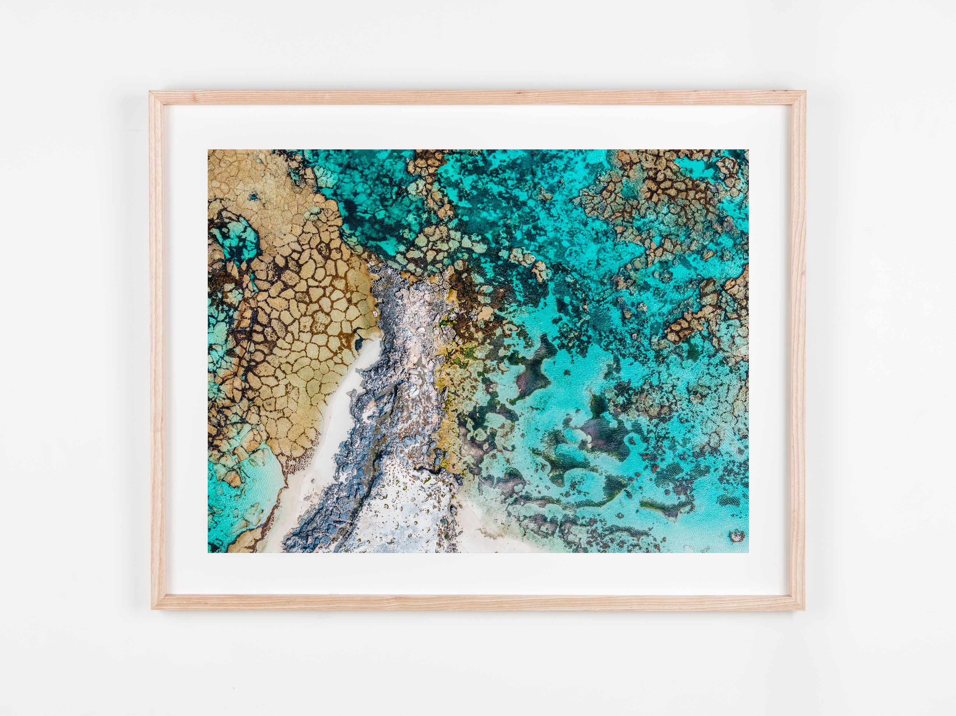 SW0819 - Salmon Bay – Salty Wings