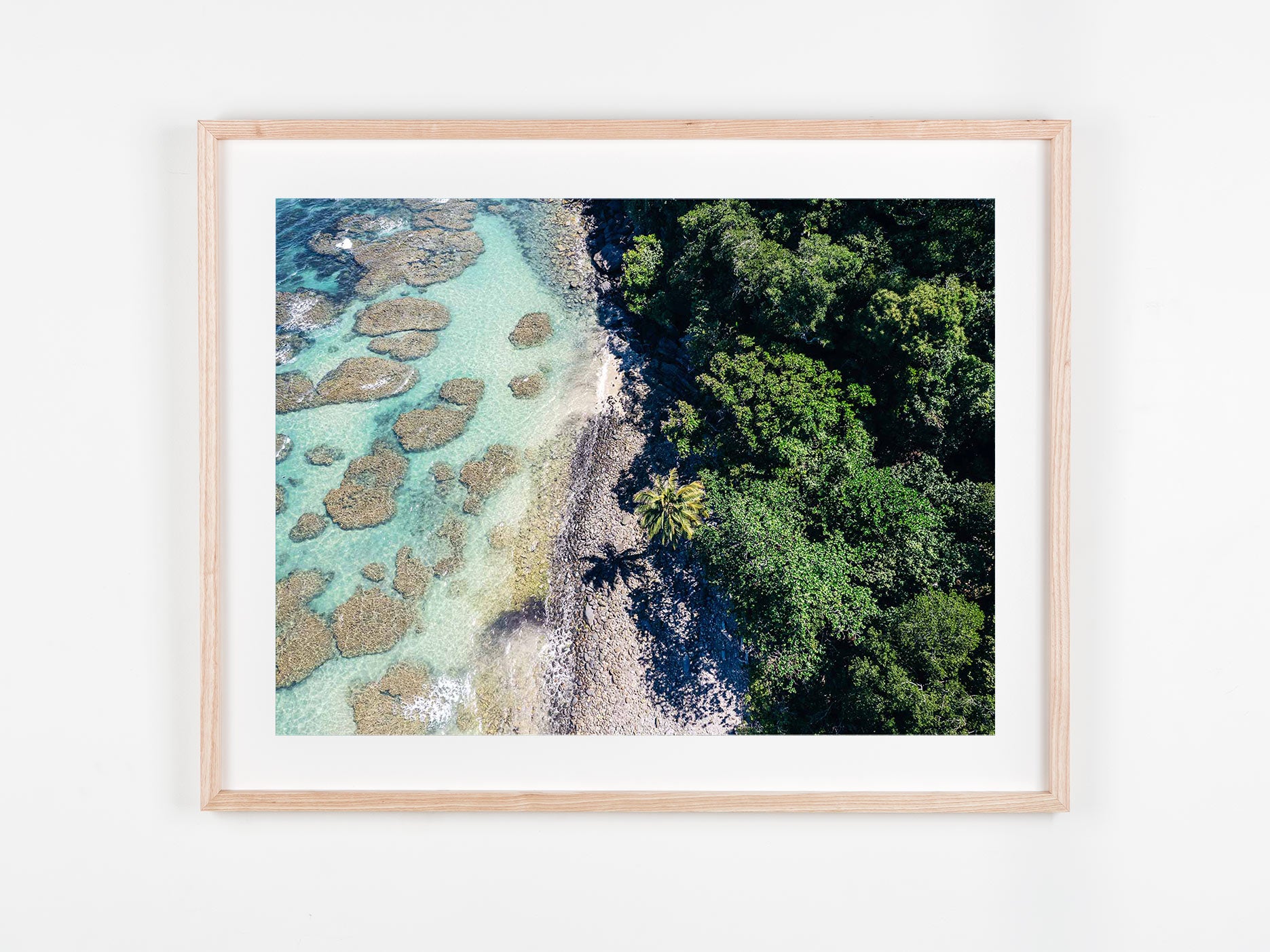 SW1830 - The Daintree Wall Art | Shop Coastal Photography Prints ...