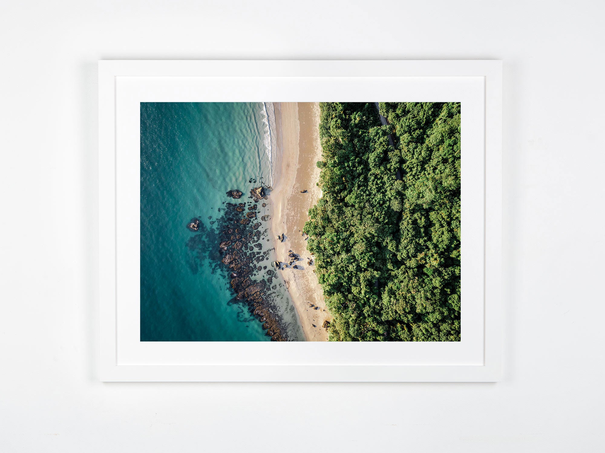 SW1832 - The Daintree Wall Art | Shop Coastal Photography Prints ...