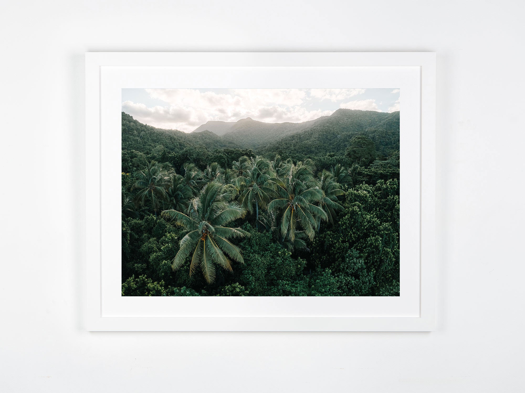 SW1834 - The Daintree Wall Art | Shop Coastal Photography Prints ...