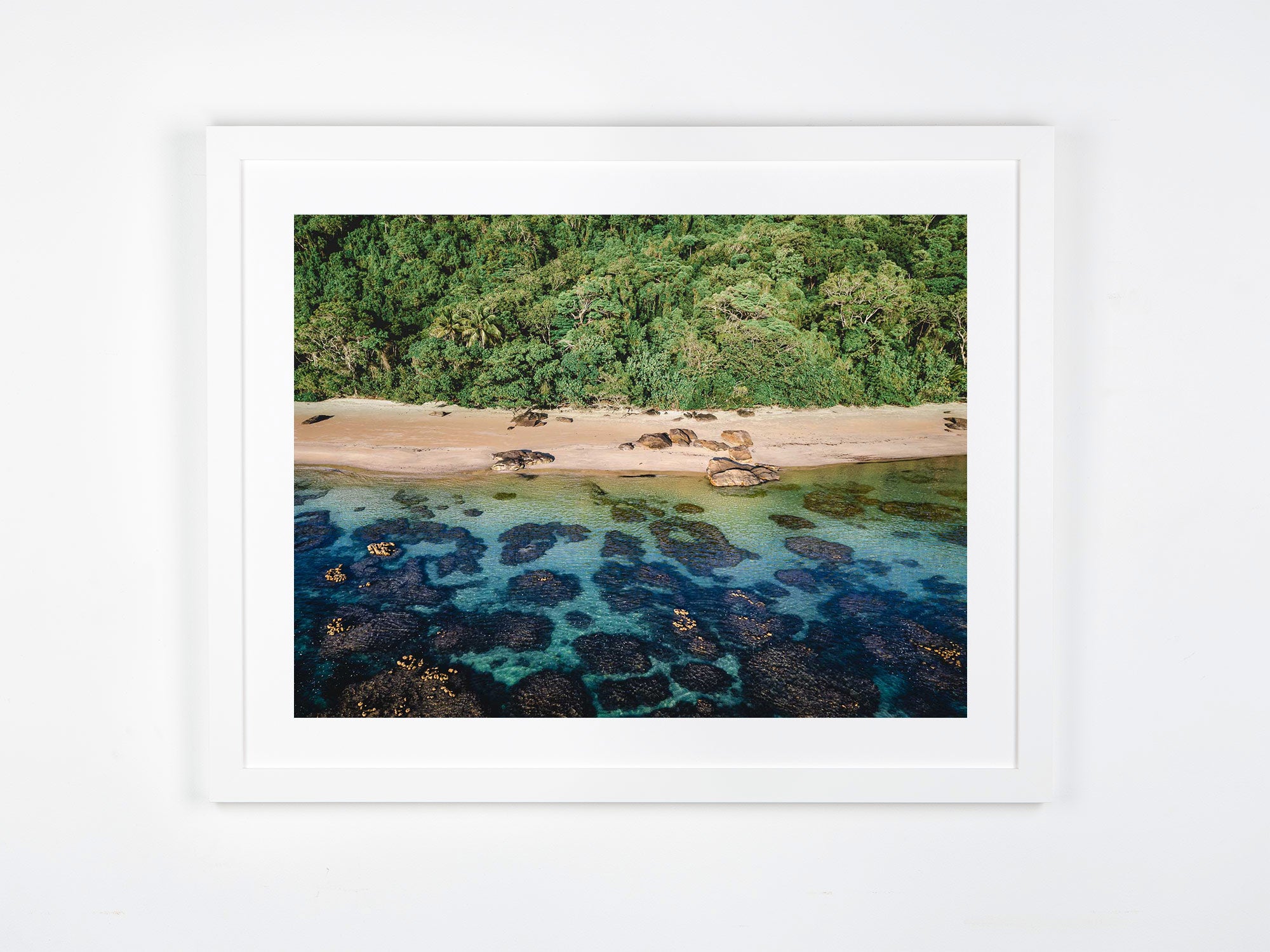 SW1836 - The Daintree Wall Art | Shop Coastal Photography Prints ...
